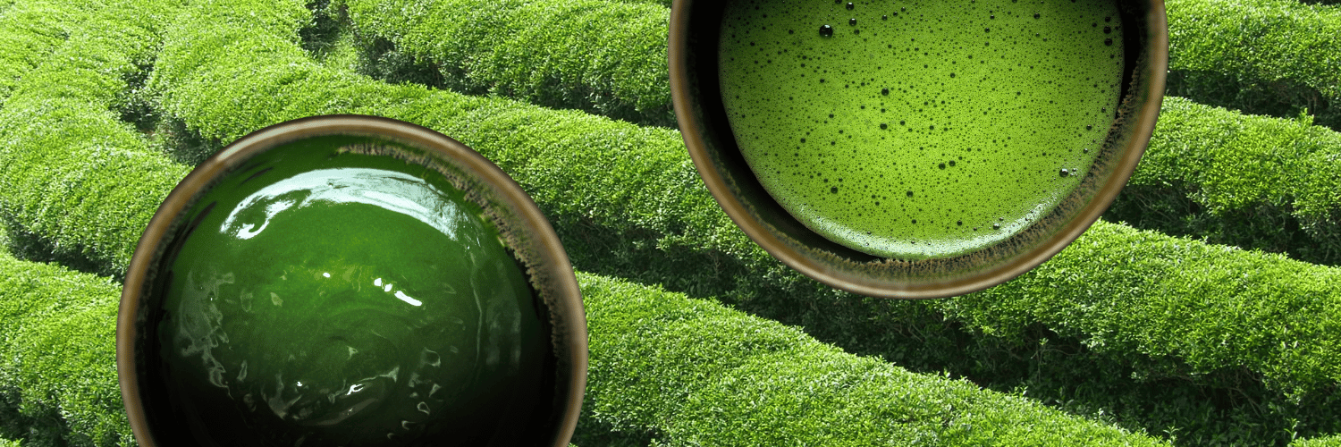 Koicha vs Usucha – Matcha Union